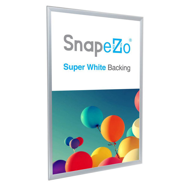 Snapezo Snap Frame Professional Series, Front Loading, Aluminum Poster Frame | Wayfair